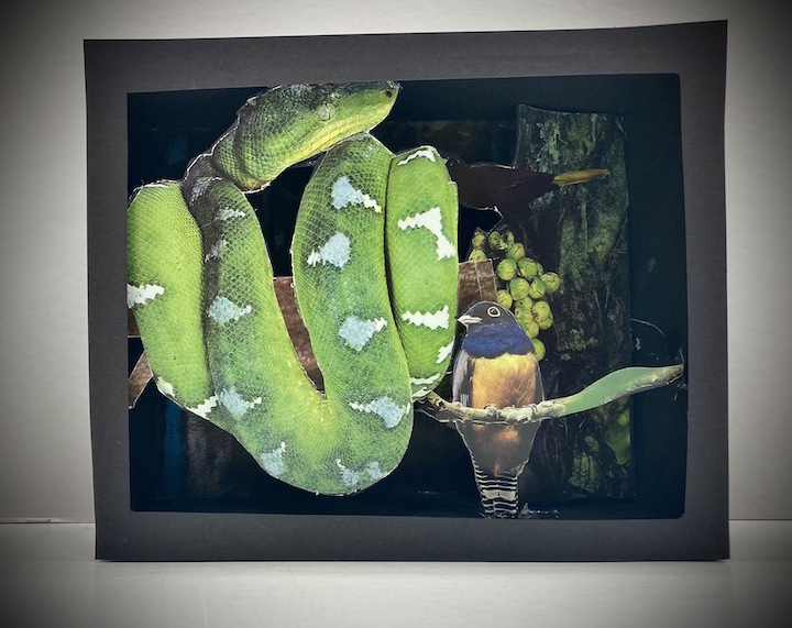 My Favorite Middle School Art Projects » Make a Mark Studios