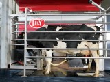 Lely Vector Análisis Del Robot Alimentador Para Ganado Lechero Makeblock