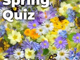 Fun Spring Quiz Make Breaks