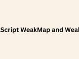 Understanding Javascript Weakmap And Weakset Makemychance