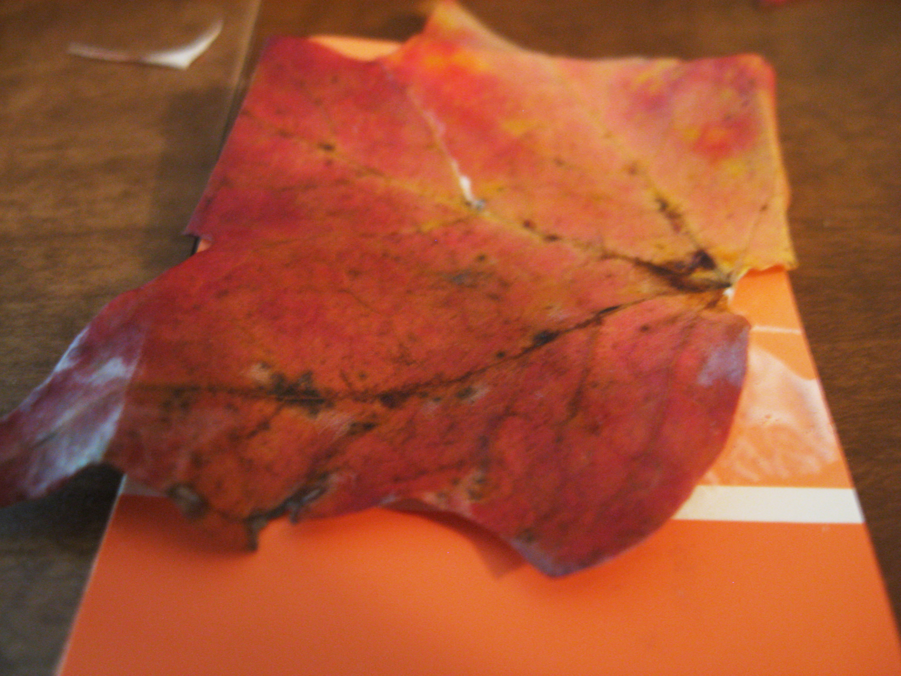 DIY Fall Leaf Bookmark - Make Something Mondays