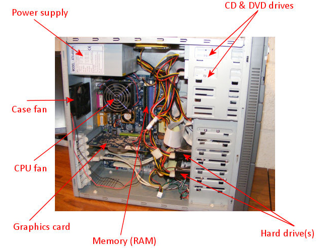 Anatomy Computer - Anatomical Charts & Posters