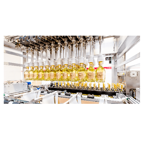 Automated Case Erector For Rsc Cartonboard Making