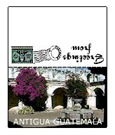Mini Postcards | Guatemala - MakingFriends
