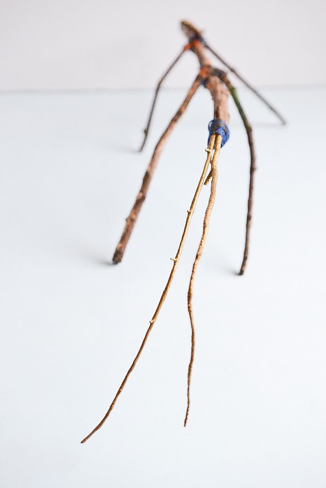 DIY Stick Bugs - Making Things is Awesome