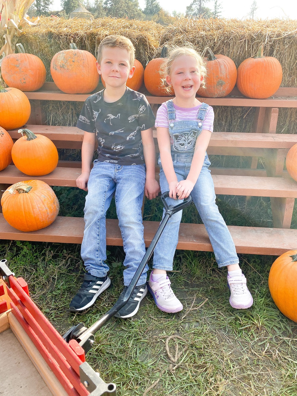 Pumpkin Patch Photoshoot Tips to Capture Beautiful Fall Memories - This ...