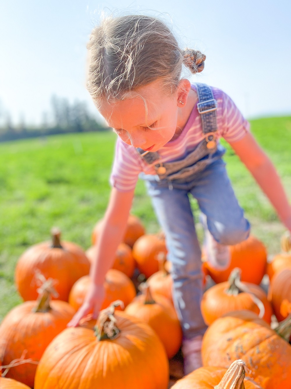 Pumpkin Patch Photoshoot Tips to Capture Beautiful Fall Memories - This ...