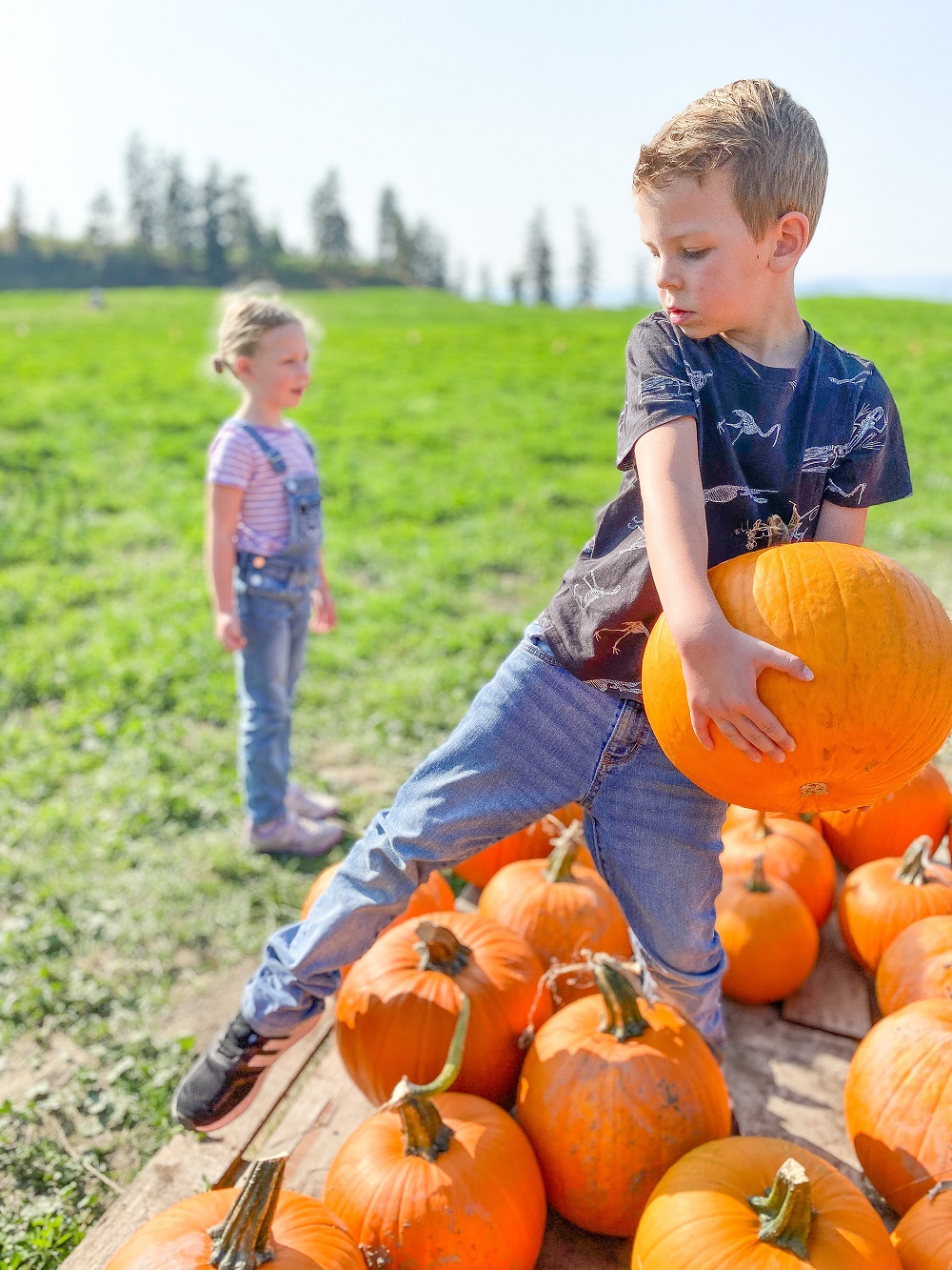 Pumpkin Patch Photoshoot Tips to Capture Beautiful Fall Memories - This ...
