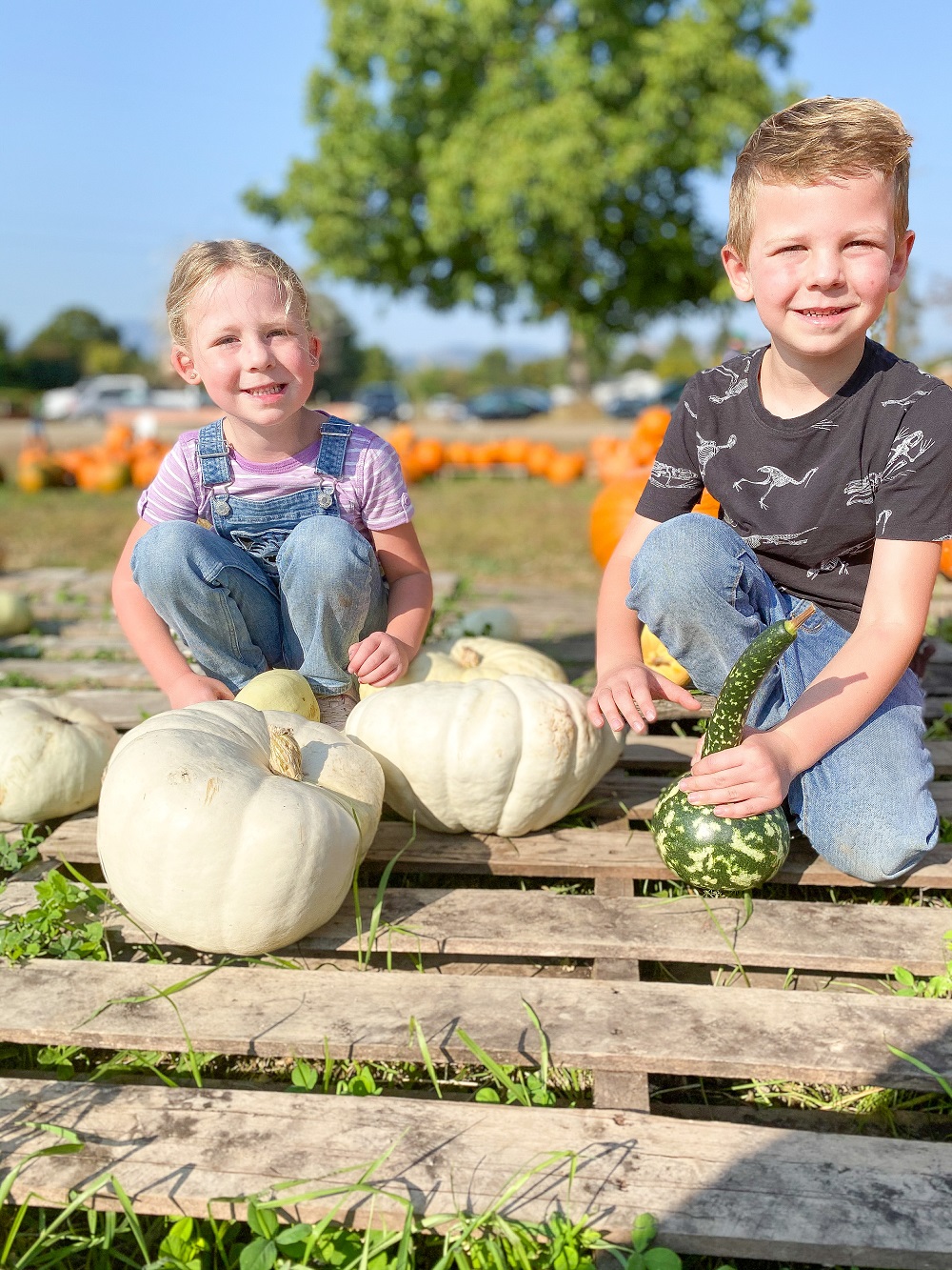 Pumpkin Patch Photoshoot Tips to Capture Beautiful Fall Memories - This ...