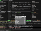 What Is A Vim Plugin At Darcy Edna Blog