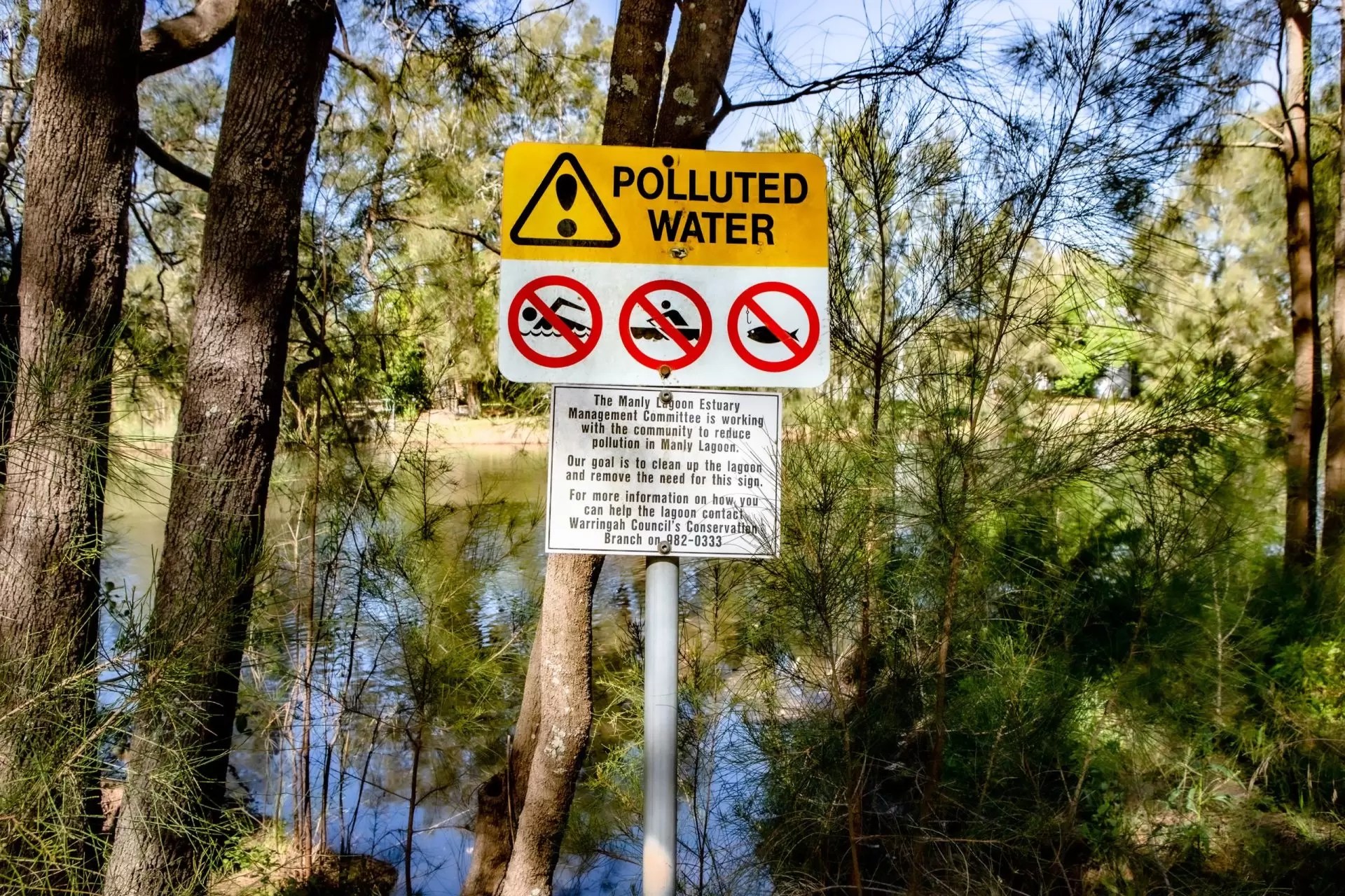 Water waste: a look at our polluted lagoons and the traps they depend ...