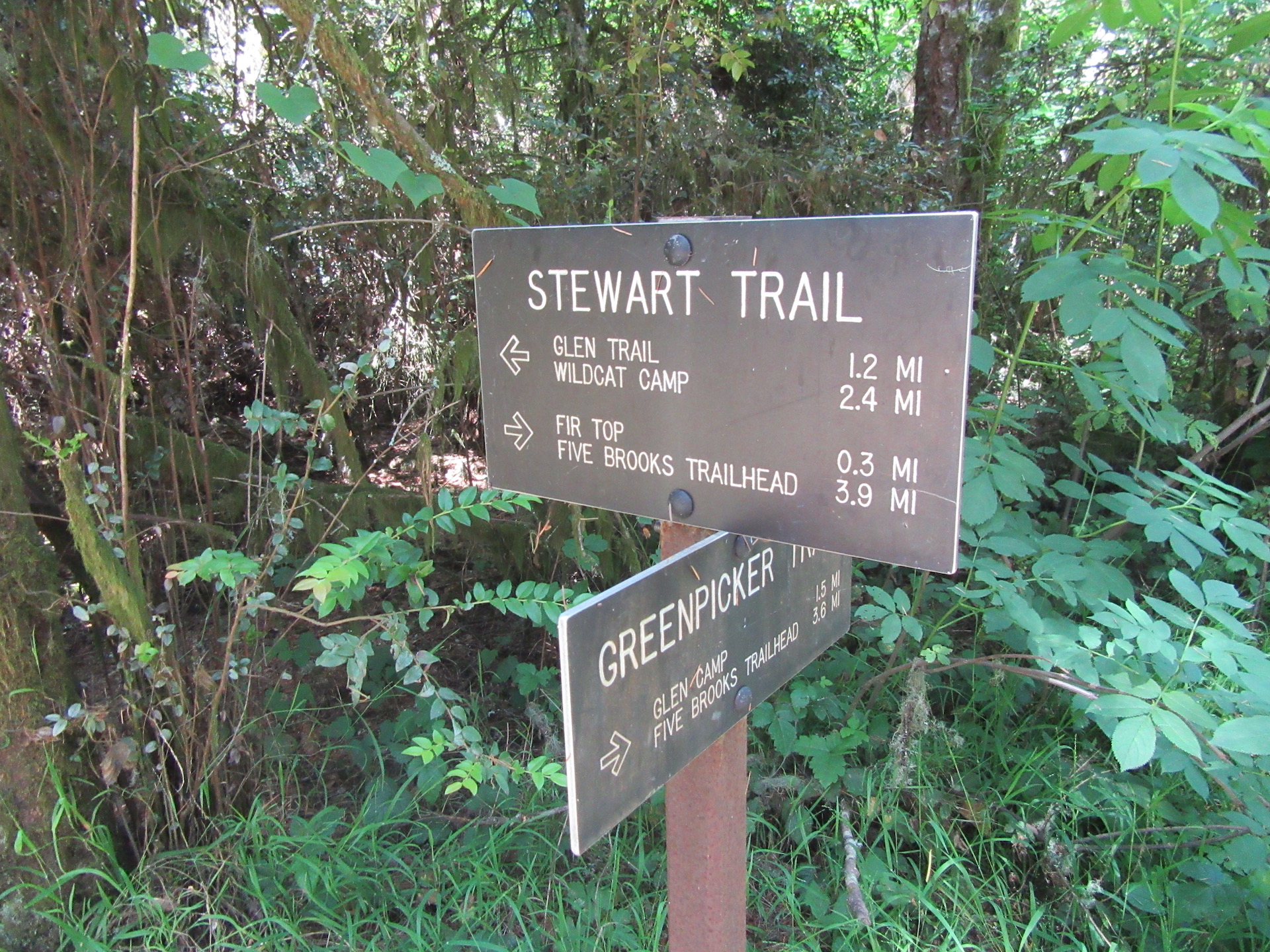 Greenpicker to Alamea Trail Loop – Map & Boots