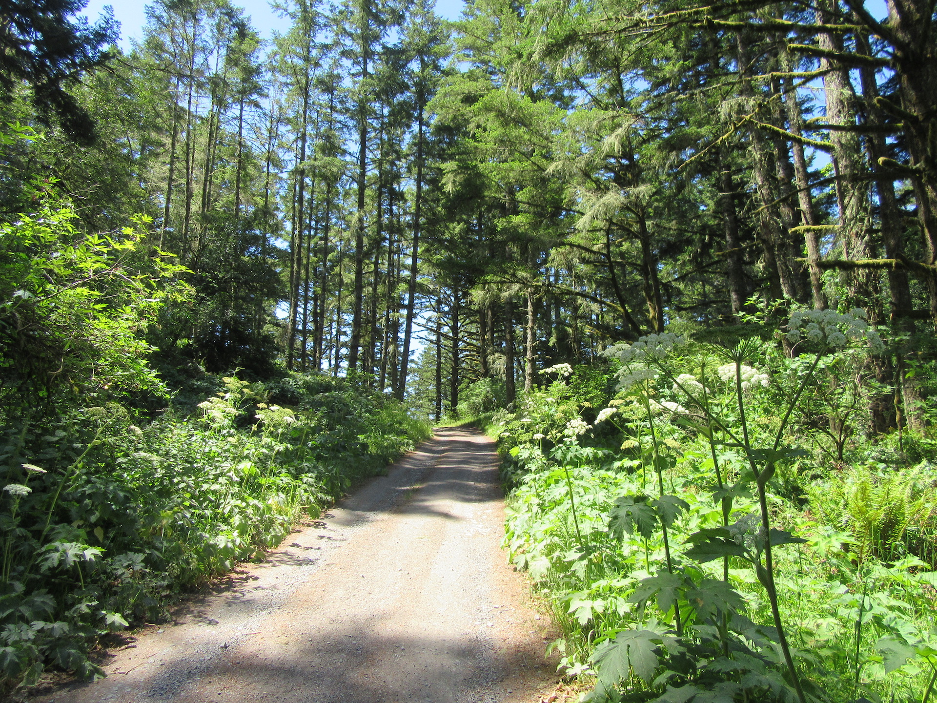 Greenpicker to Alamea Trail Loop – Map & Boots