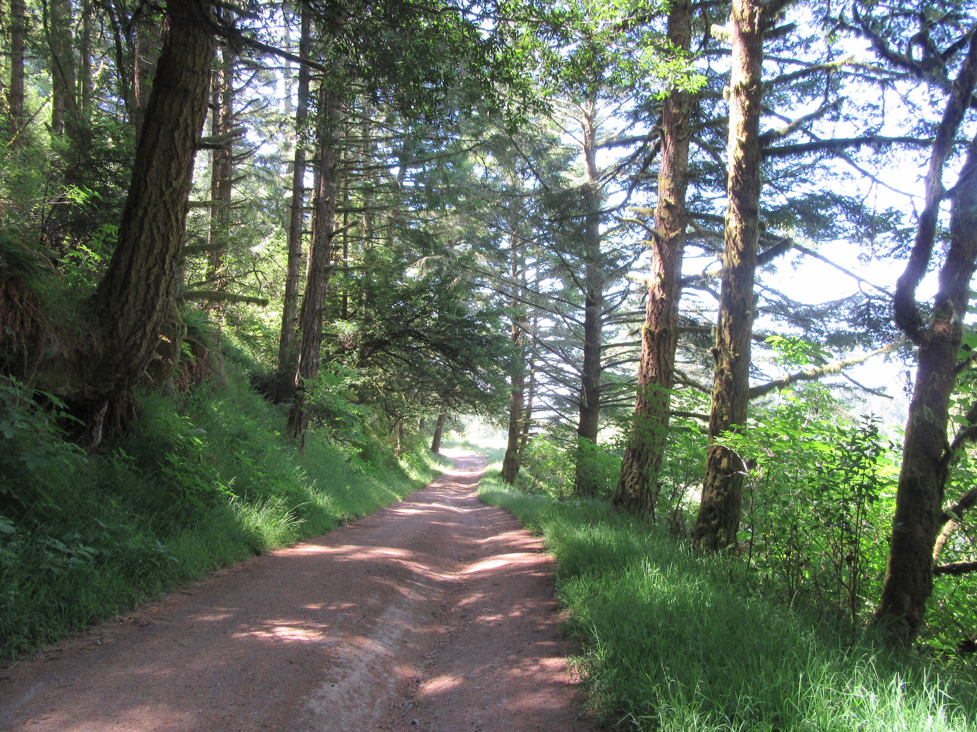 Greenpicker to Alamea Trail Loop – Map & Boots