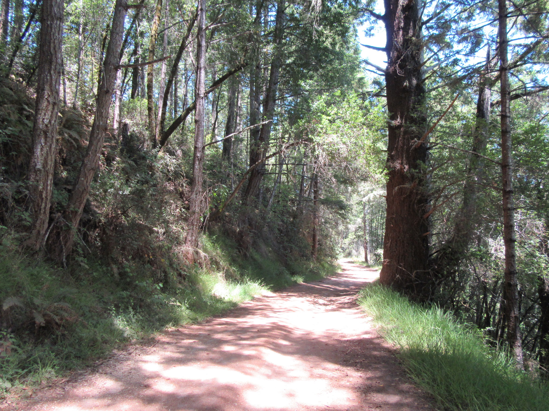 Greenpicker to Alamea Trail Loop – Map & Boots