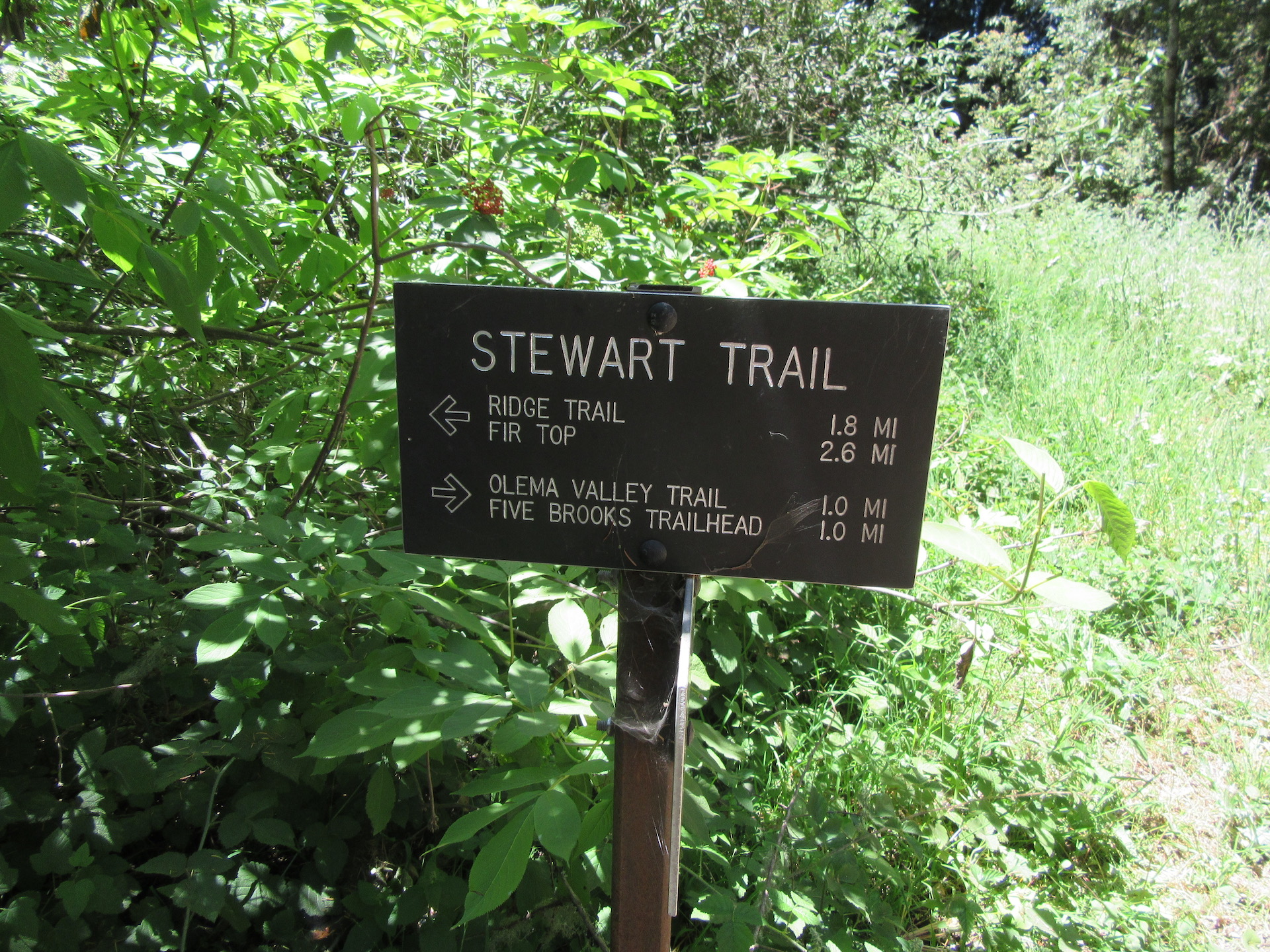 Greenpicker to Alamea Trail Loop – Map & Boots