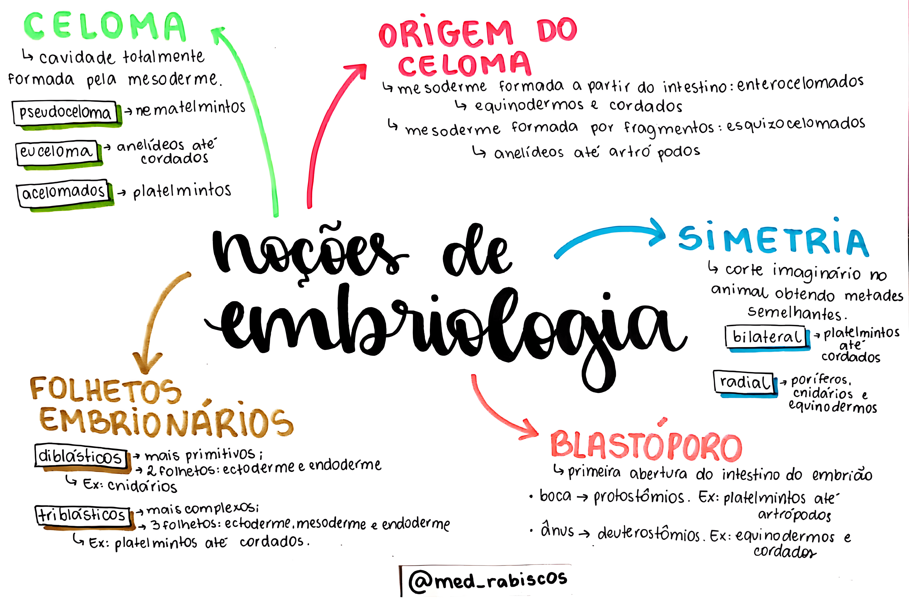 Mapa Mental Sobre Embriologia - NAZAEDU