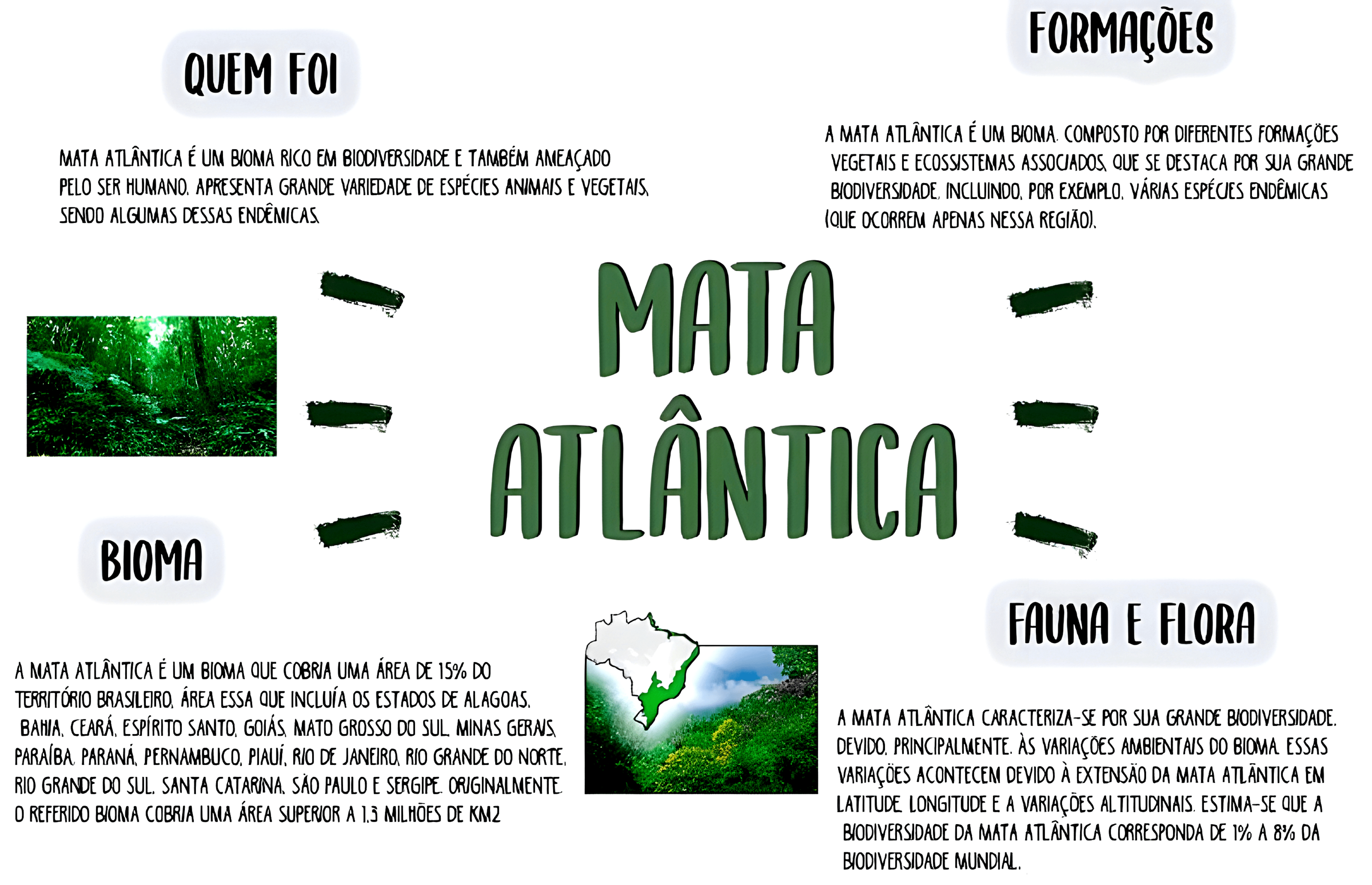 MAPA MENTAL SOBRE MATA ATLÂNTICA - Maps4Study