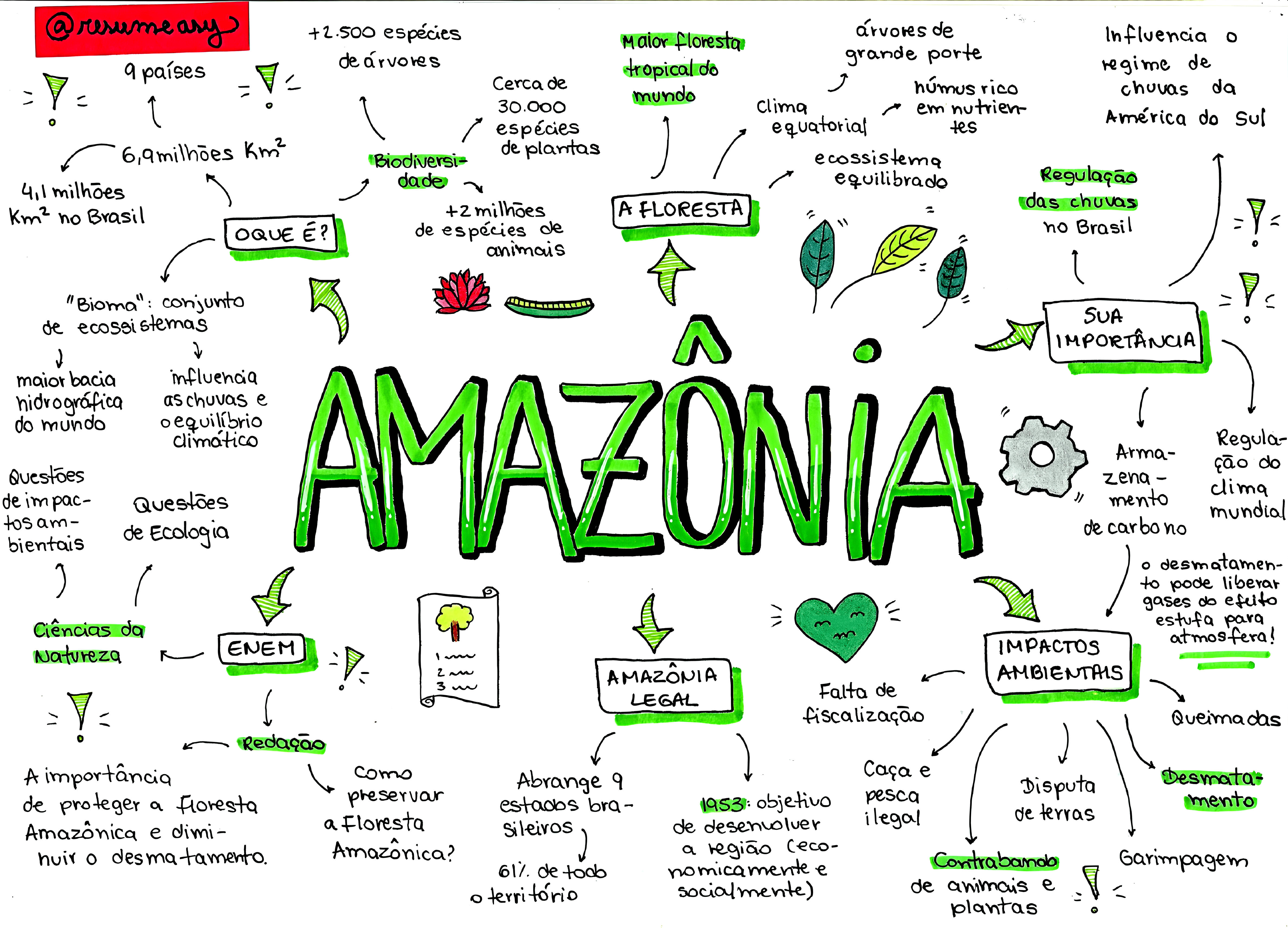 MAPA MENTAL SOBRE AMAZÔNIA - Maps4Study