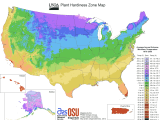 Us Plant Hardiness Zone Map Mapsof Net