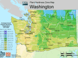Mapsof Net On Reddit
