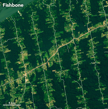 fishbones - Map Vision Indonesia