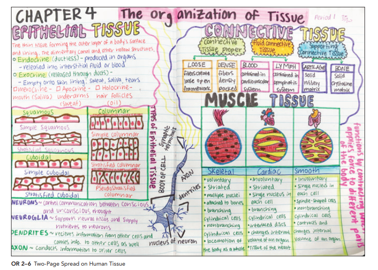 TRY THIS TOMORROW: TWO-PAGE SPREAD - Margin Notes