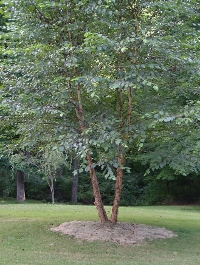 Why I Love Living Here – Marian Allen, Author Lady