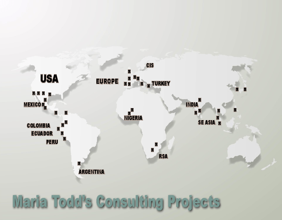 Maria Todd Consulting Projects - AskMariaTodd™