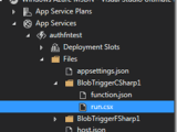Remote Debugging Azure Functions