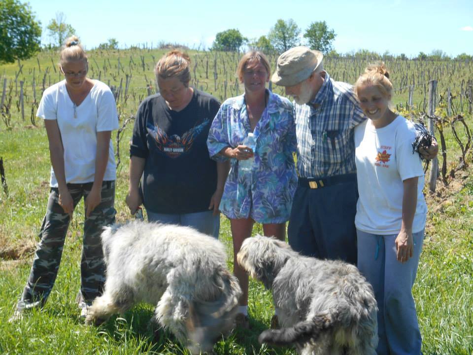 History – Markko Vineyard and Winery