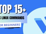 Top 15 Basic Linux Commands On Your Vps Server 2025