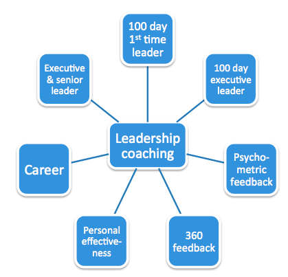 Leadership development - training and coaching - Andi Roberts