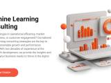 Machine Learning Consulting 8 Years Of Scalable Ai Expertise