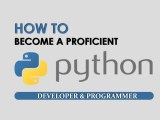 Become A Python Developer A Complete Guide Matchbox Design