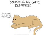 Schrã Dinger S Cat Is Depressed Math Fail