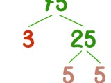 Factor Tree Definition Steps Examples Diagrams