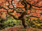 Minimax Algorithm And Alpha Beta Pruning Mathspp