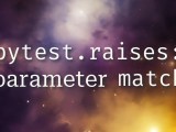 Til 094 Pytest Raises Parameter Match Mathspp