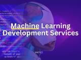 Machine Learning Development Company