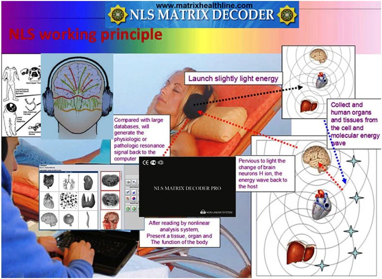 Nls Matrix Decoder In Person Session Matrix Health Line