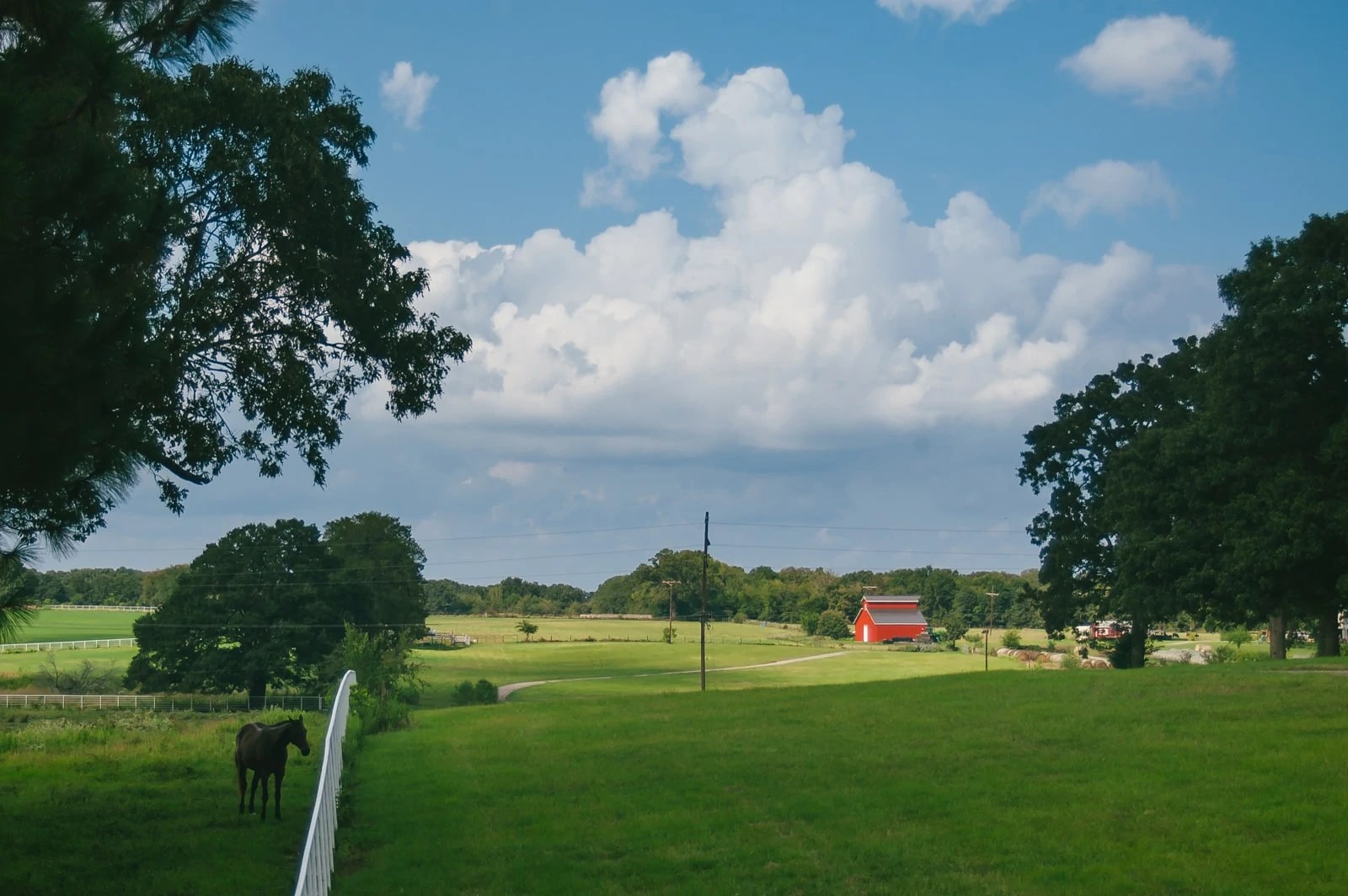 East Texas Landscape Photos Of Pastures, Farms, and Roads