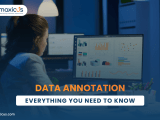Data Annotation Everything You Need To Know Maxicus
