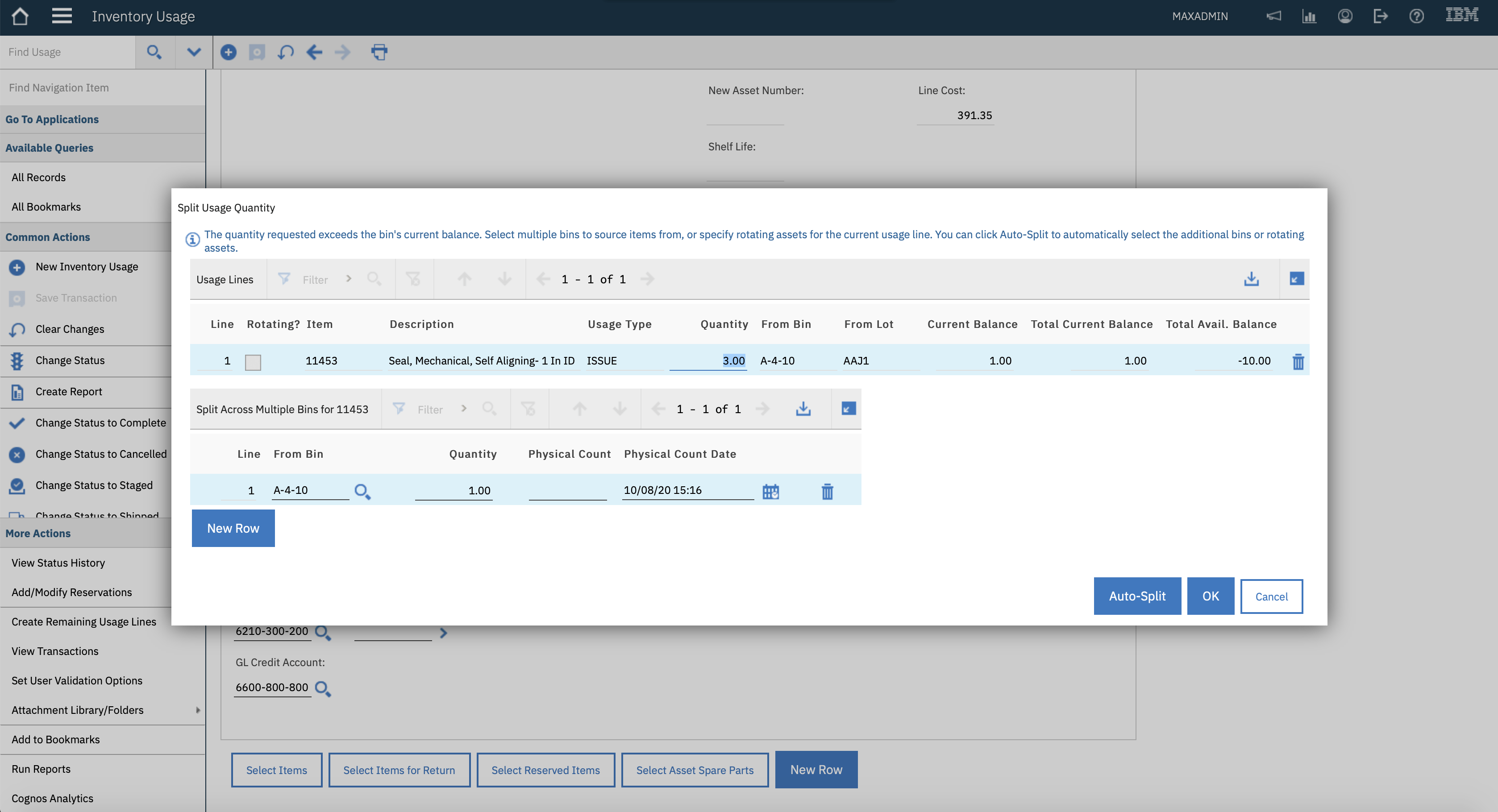 Lot Items – Maximo Secrets