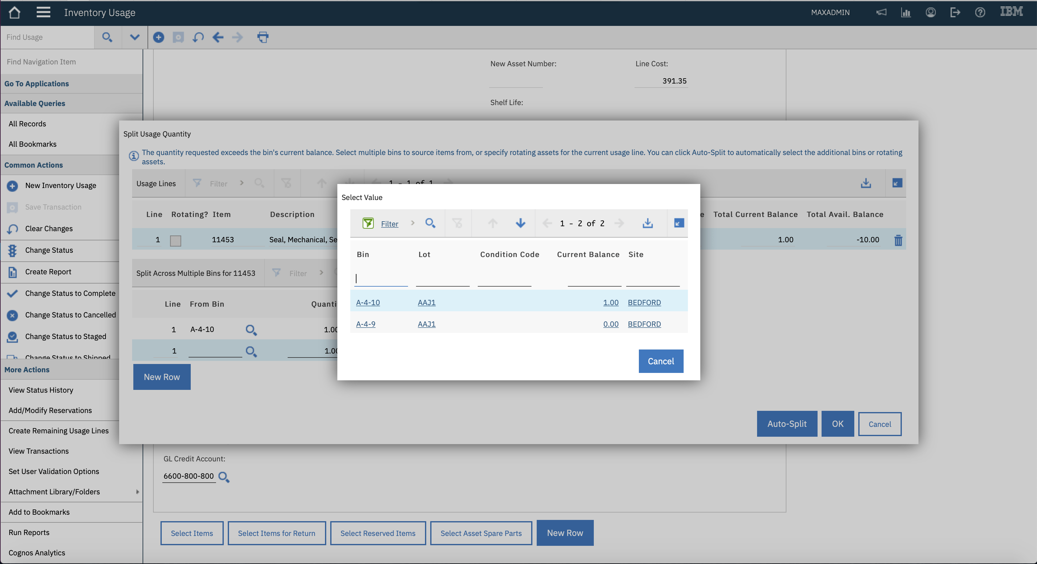 Lot Items – Maximo Secrets