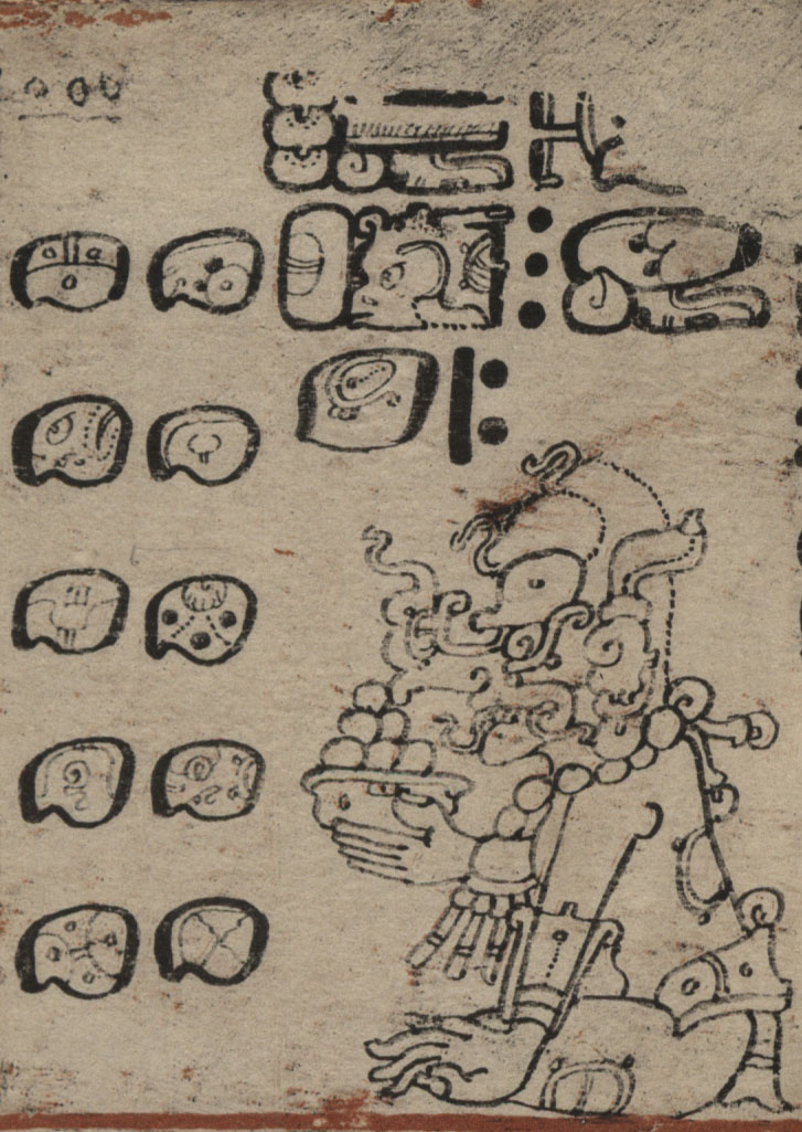 codex | Chocolate Class