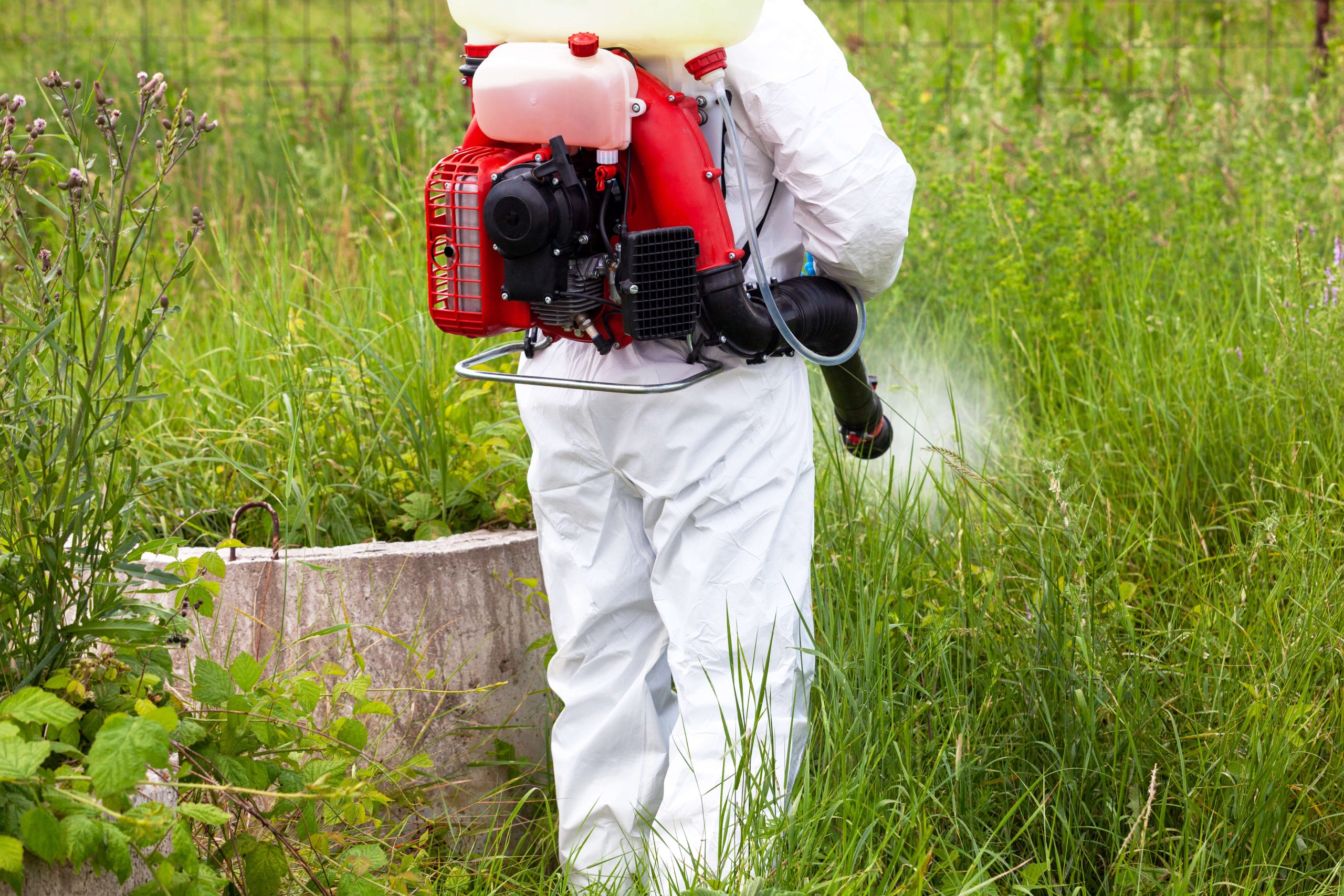 Insect Disease Guide - Mayer Tree Service, Inc.