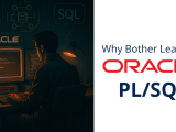 Why Bother Learning Oracle Pl Sql