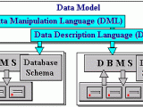 Mcatutorials Basic Relational Data Model