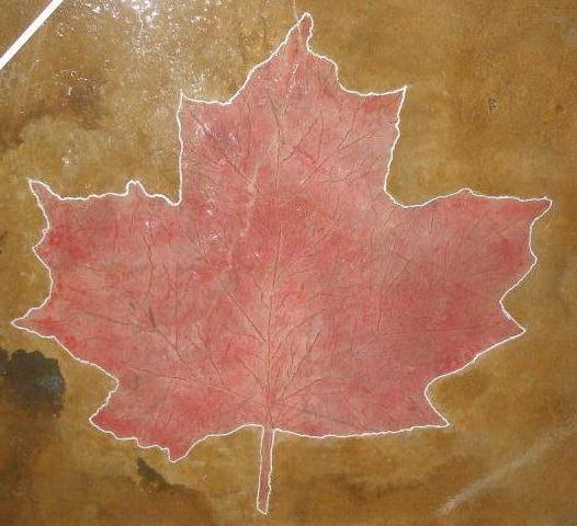 Stained & Polished Concrete – McKnight Custom Concrete